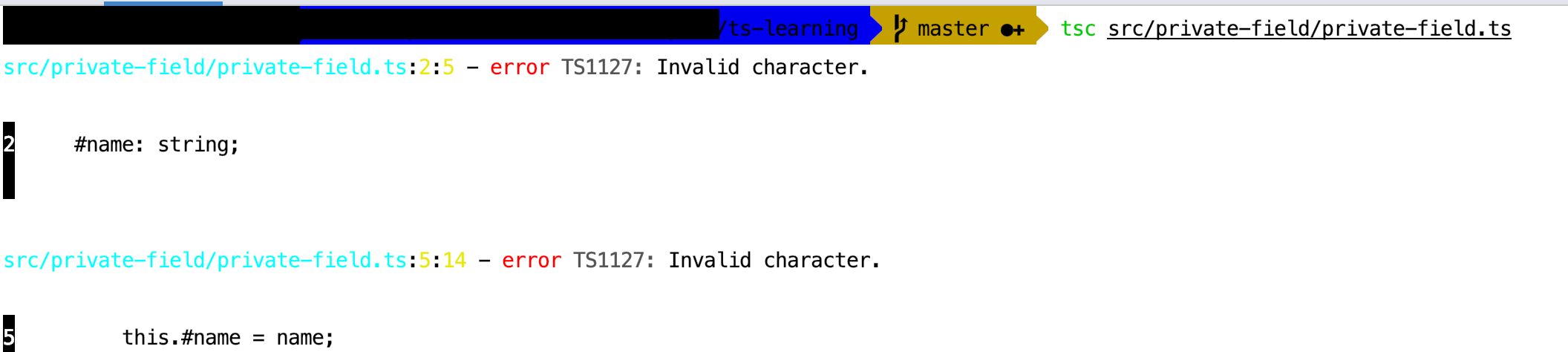 TS Private Fields - 十甫寸木南
